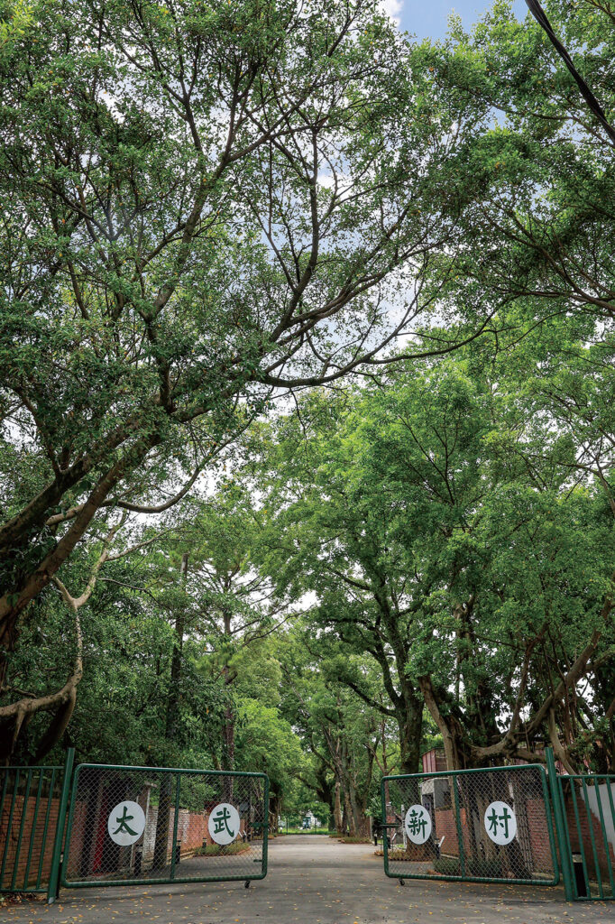 光陰的故事(3)太武新村眷村文創園區 - 2gather