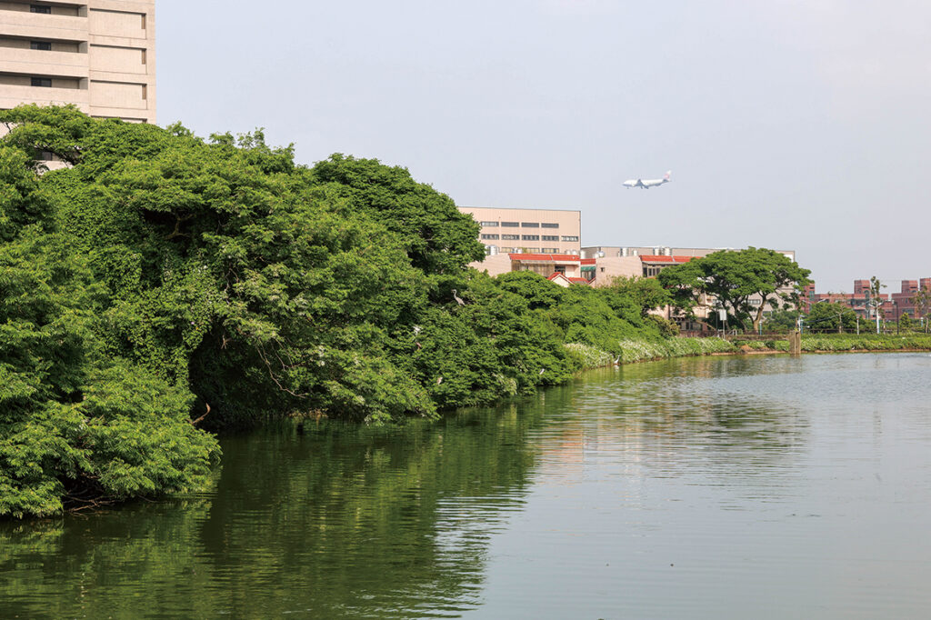 店子埤生態公園 坐看飛機與水鳥齊飛 - 2gather